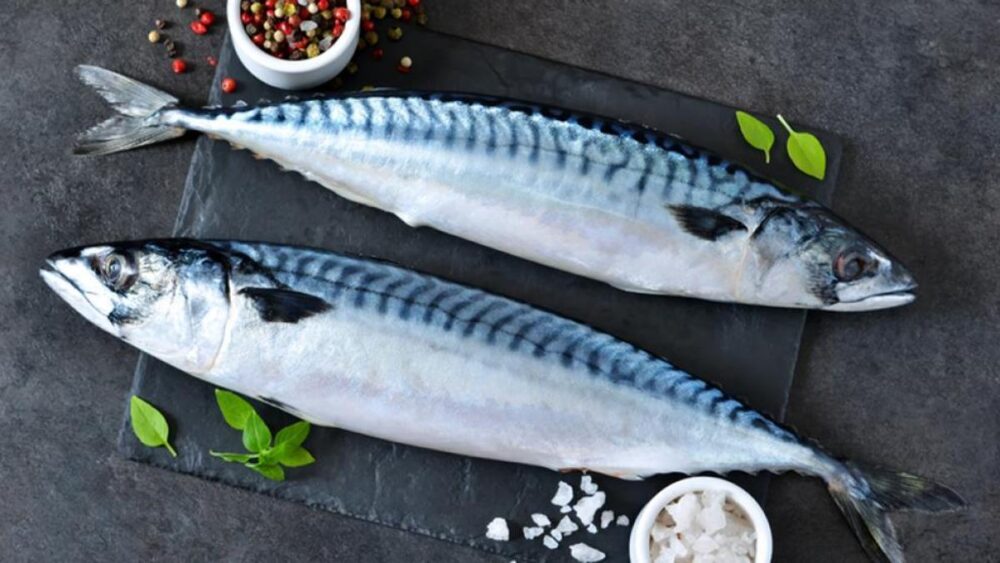 ¿Es seguro y saludable comer pescado crudo?