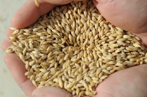 9 Impresionantes beneficios para la salud de la cebada
