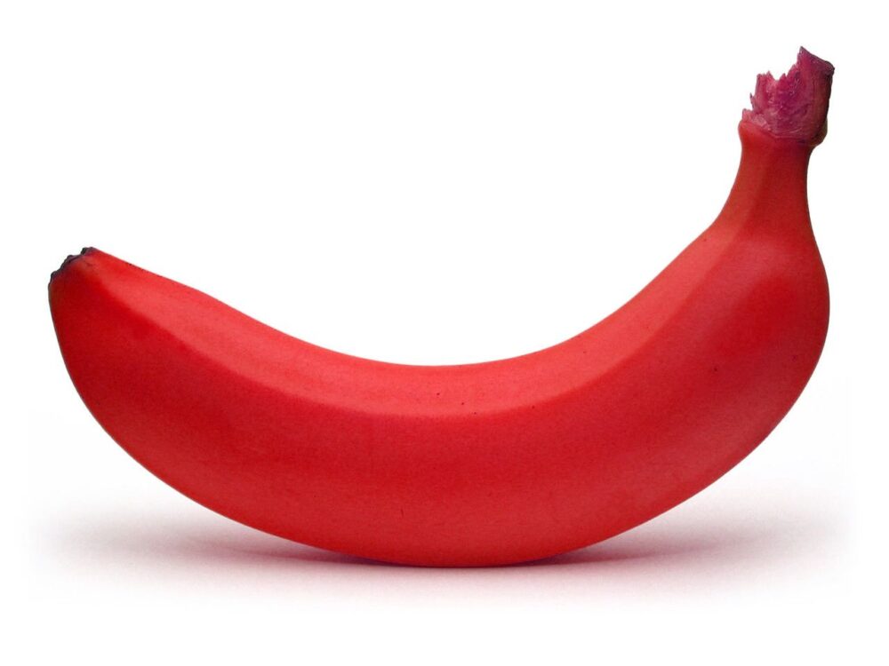 7 beneficios de la banana roja (y cómo se diferencian de las amarillas)